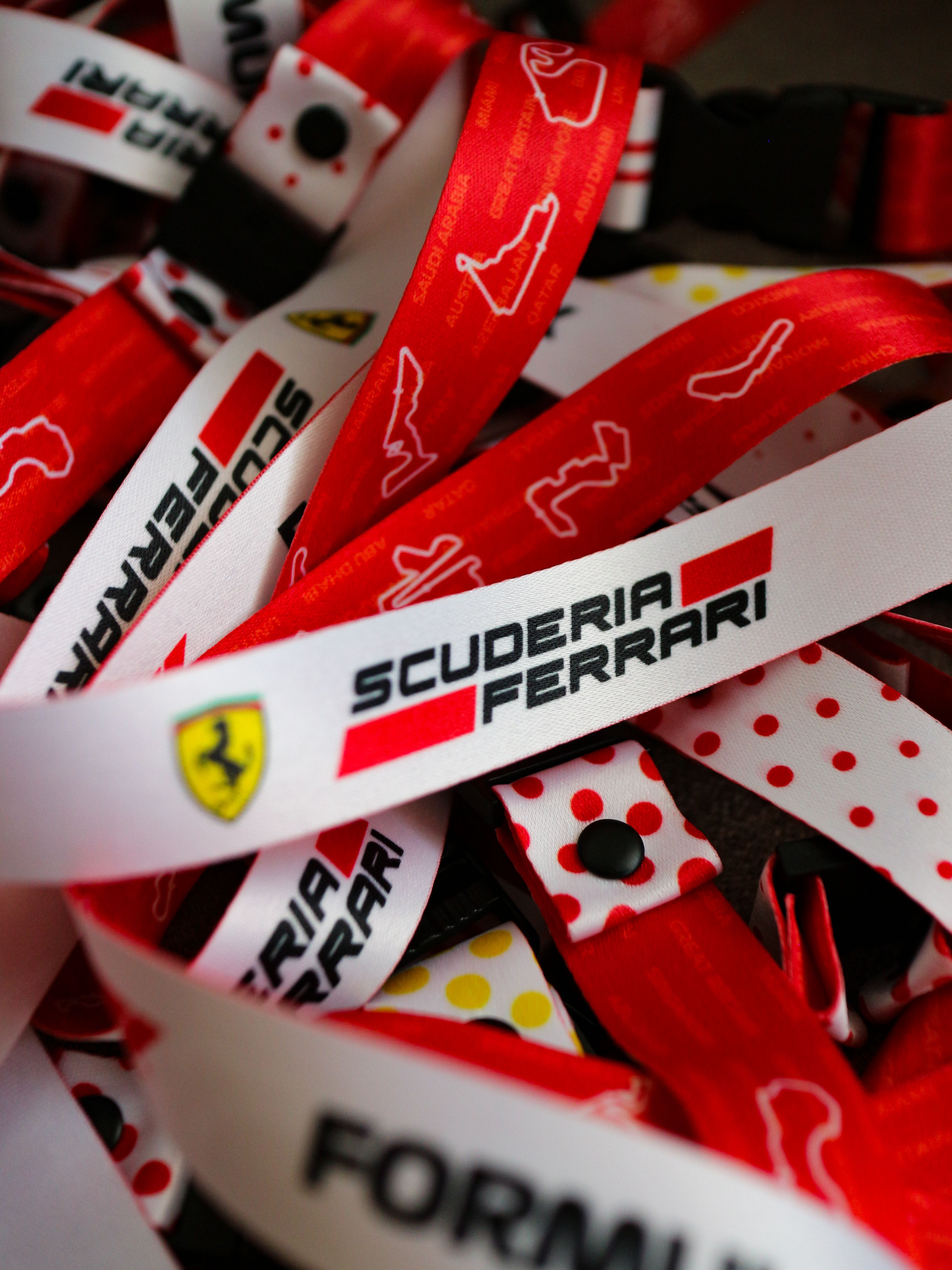 Formula 1 Series | AMG Petronas Formula 1 Team Lanyard | Lanyard Hipster